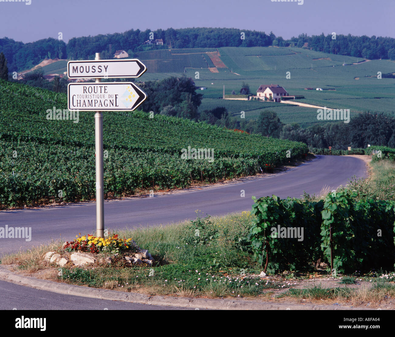 Champagne tourist route hi-res stock photography and images - Alamy