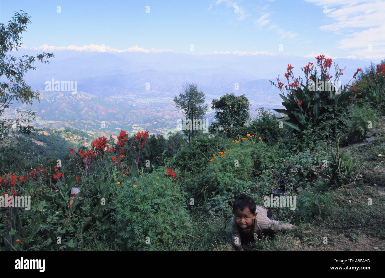 Nepali boy hiding in bush in Dhulikhel surroundings Kathmandu valley ...