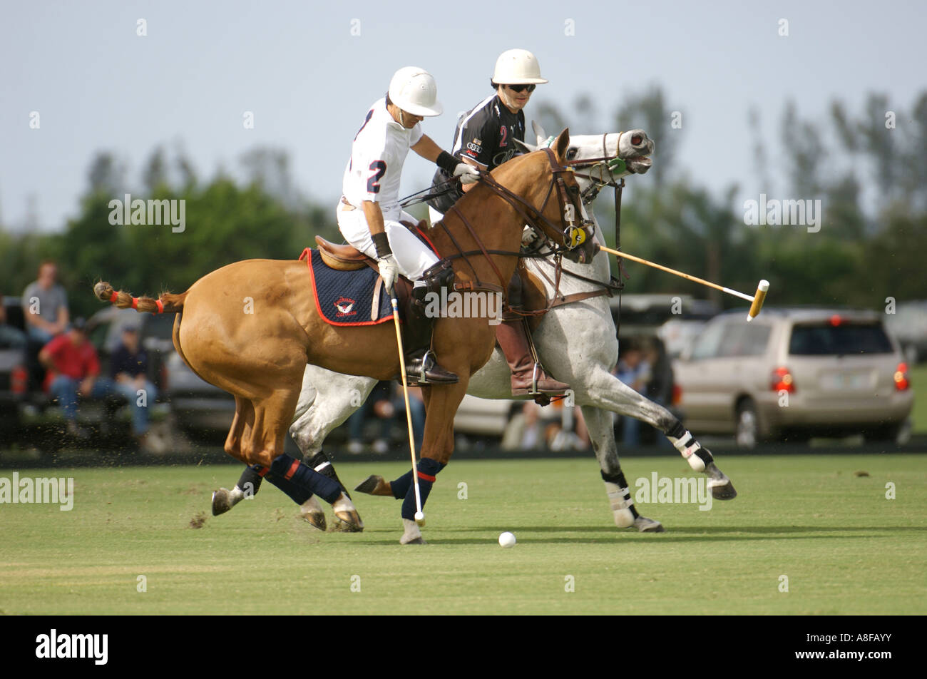 Brandon Phillips Audi Pite Merlos Lechuza Caracas International Polo ...