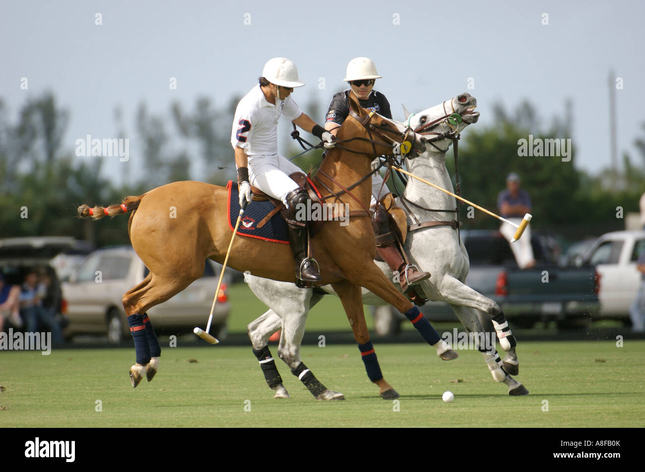 Brandon Phillips Audi Pite Merlos Lechuza Caracas International Polo ...