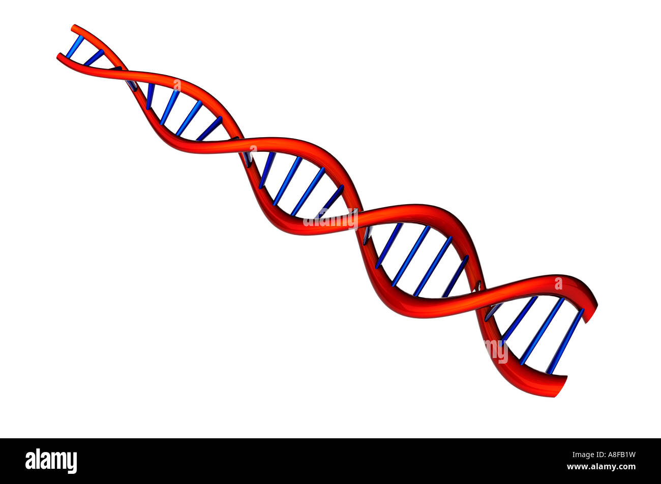 Linear double strand dna hi-res stock photography and images - Alamy
