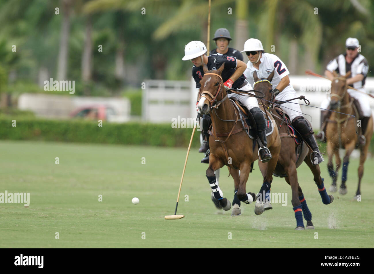 Wellington florida usa polo hi-res stock photography and images - Alamy