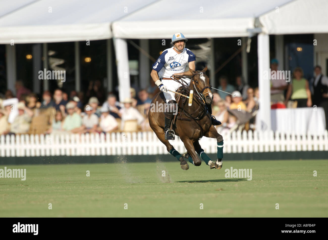 Wellington florida usa polo hi-res stock photography and images - Alamy