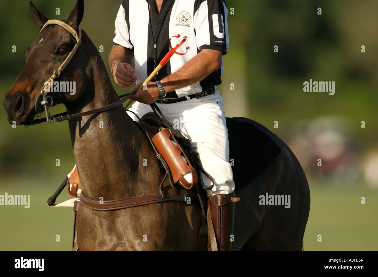 International Polo Club Wellington Florida USA Opening match 2007 ...