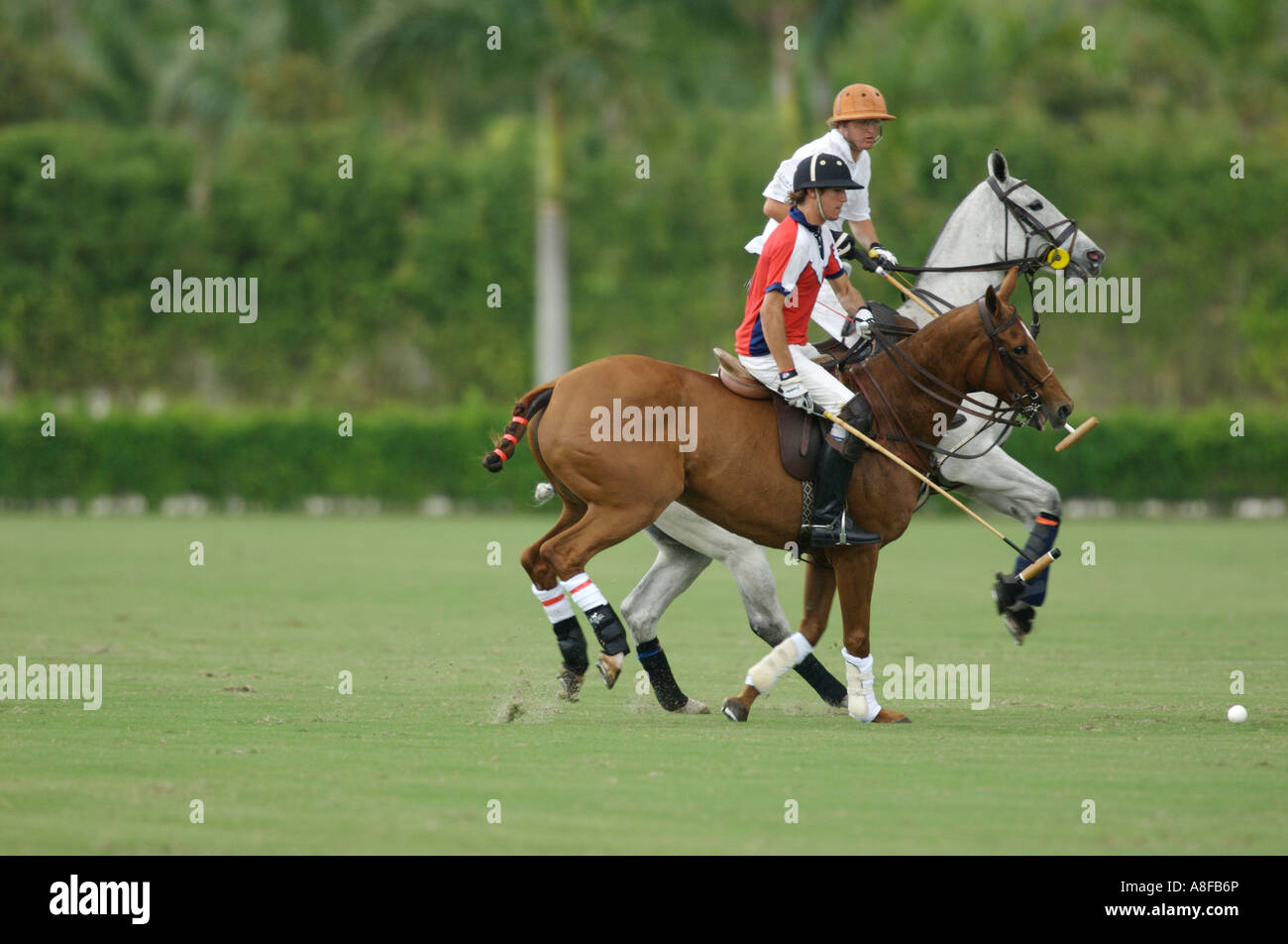 Joe Barry Memorial Cup International Polo Club Palm Beach Florida 18 ...