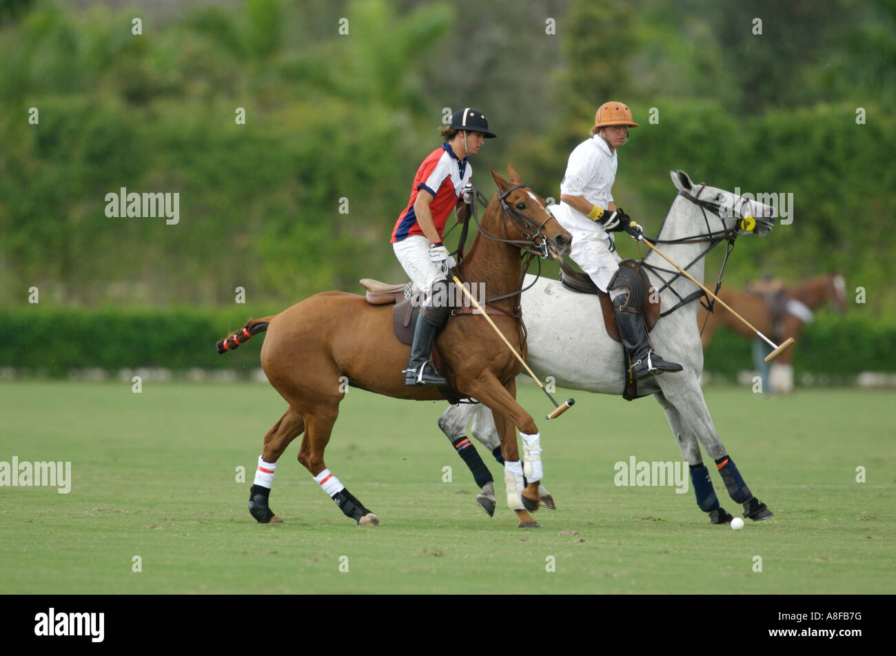 Joe Barry Memorial Cup International Polo Club Palm Beach Florida 18 ...
