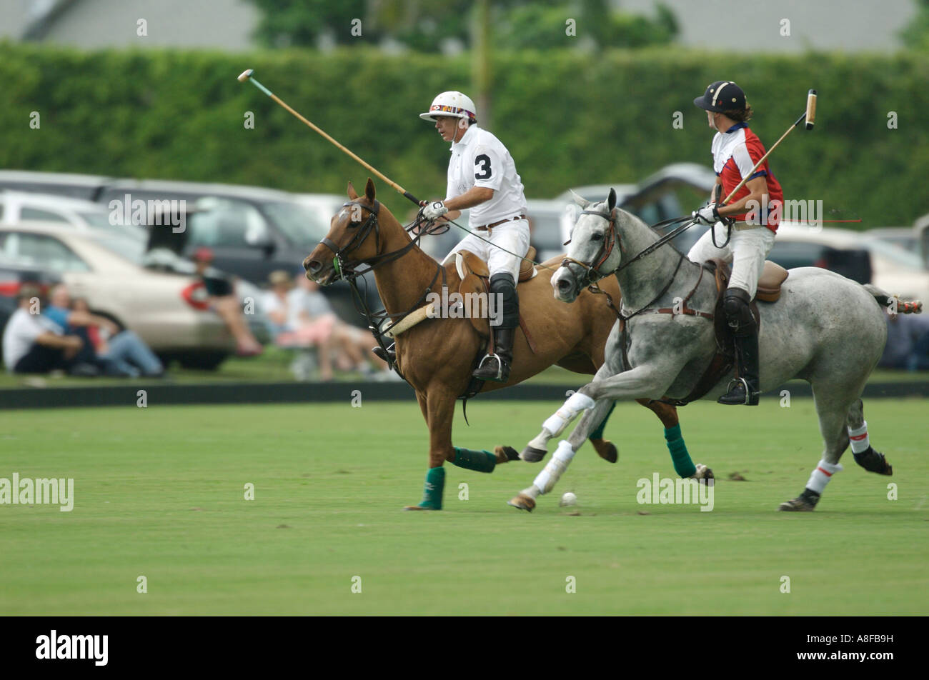 Joe Barry Memorial Cup International Polo Club Palm Beach Florida 18 ...