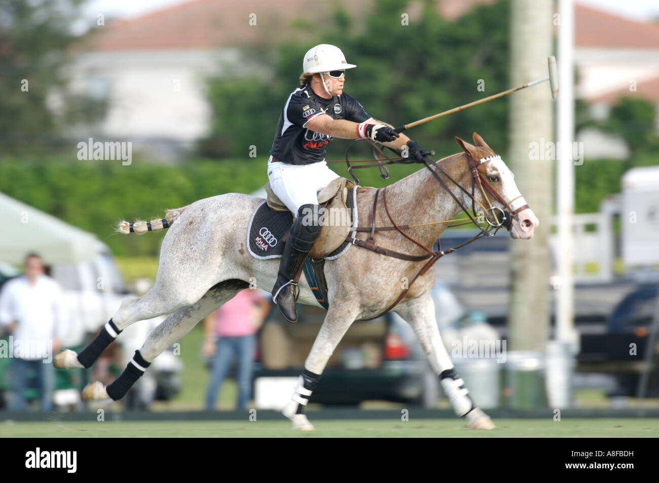 Marc Ganzi Audi Joe Barry Memorial Cup International Polo Club Palm ...