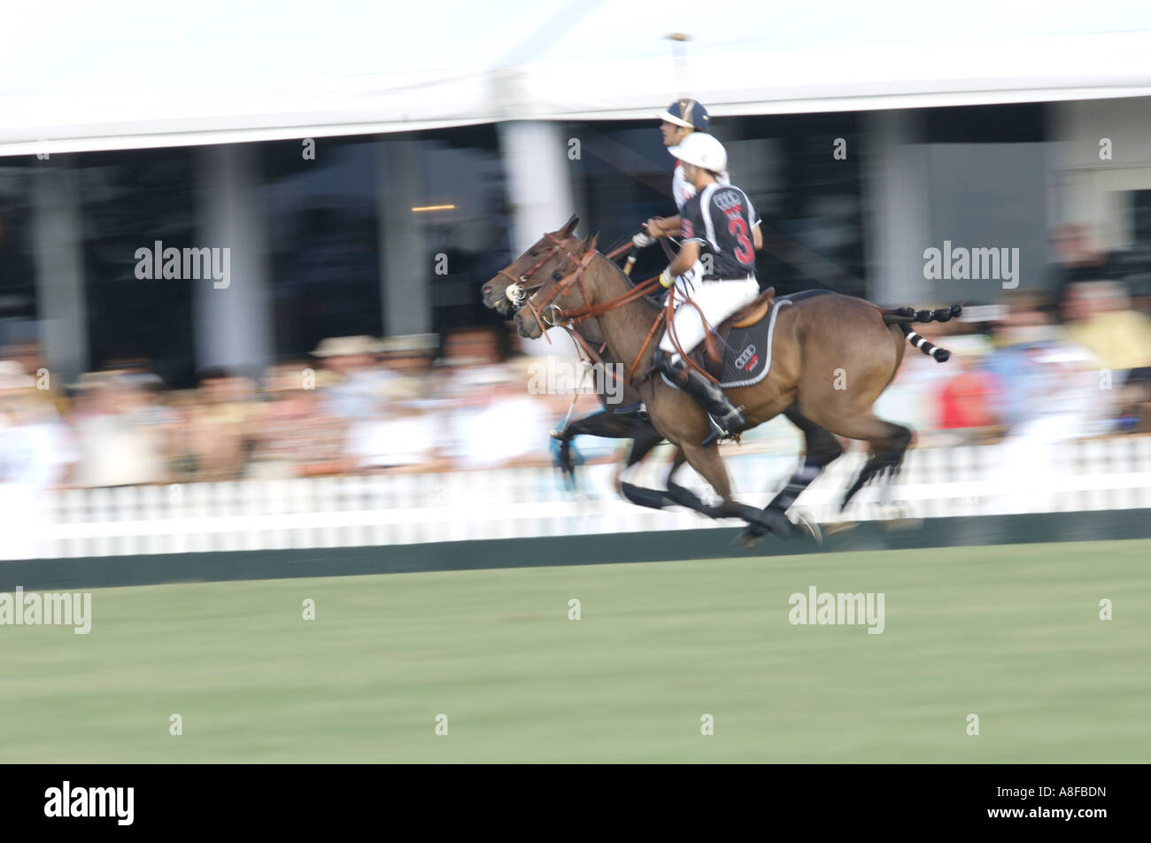 Audi v Patgonis Joe Barry Memorial Cup International Polo Club Palm ...
