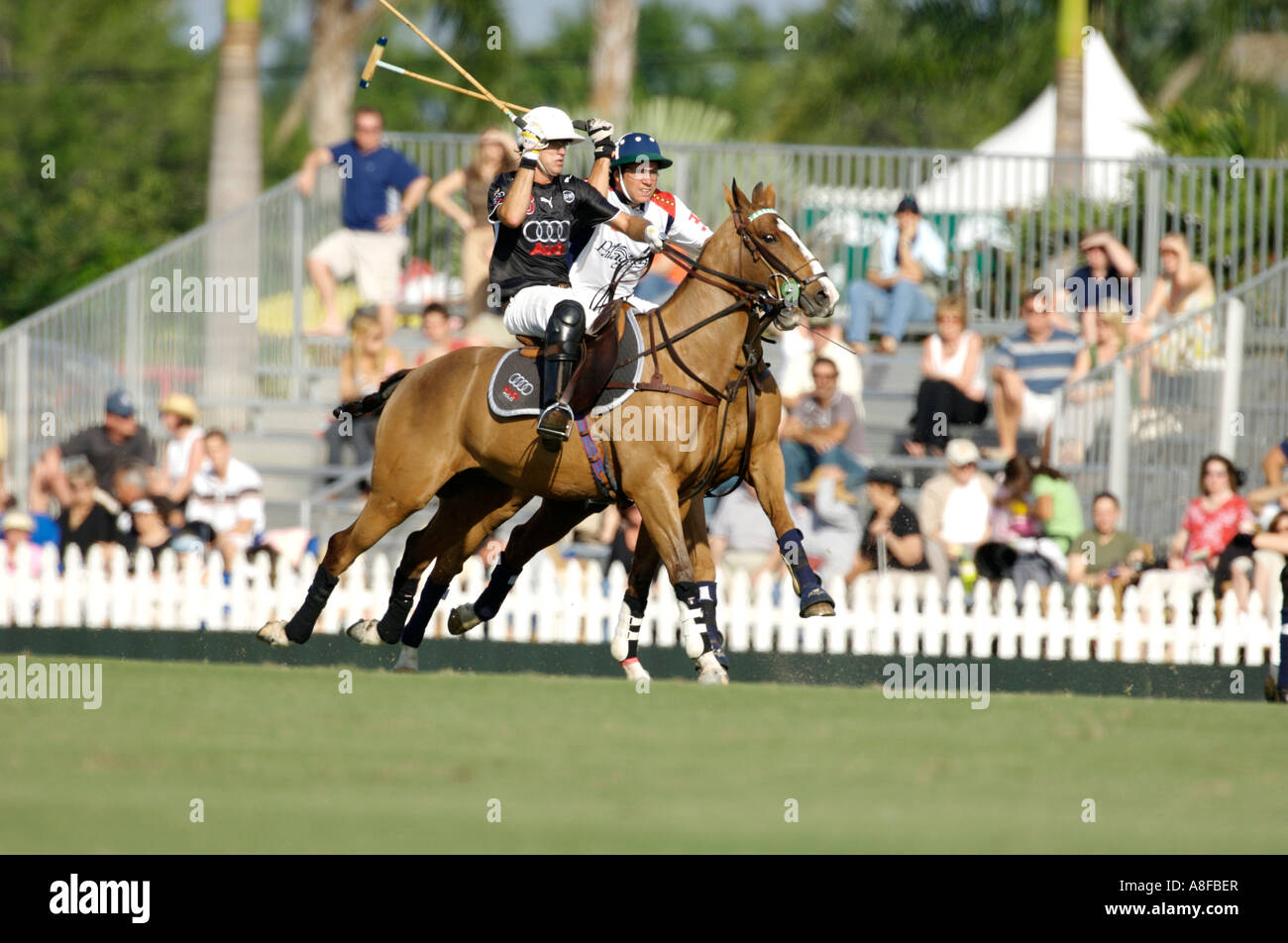 Joe Barry Memorial Cup International Polo Club Palm Beach Florida 18 ...