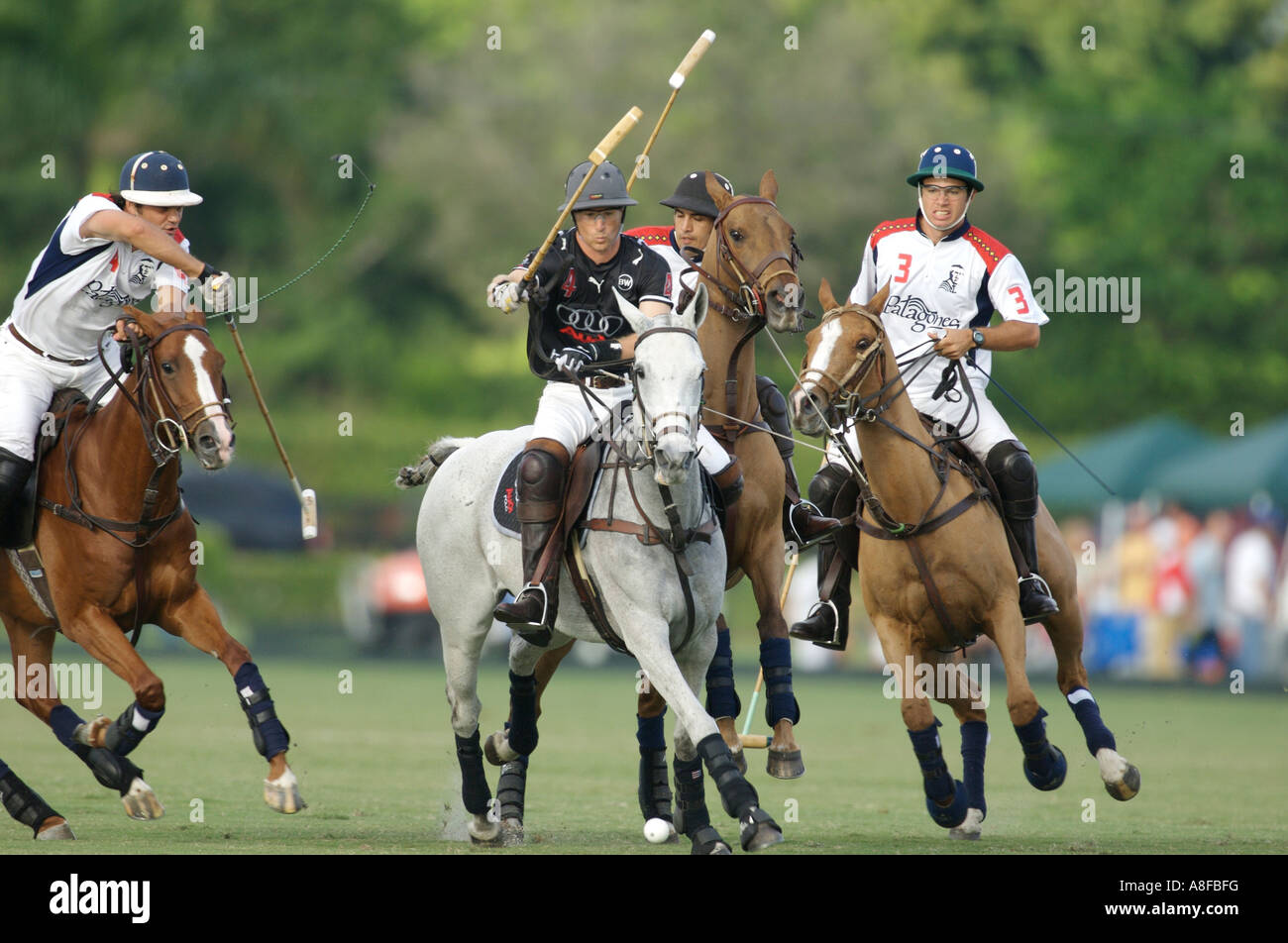 Joe Barry Memorial Cup International Polo Club Palm Beach Florida Stock ...
