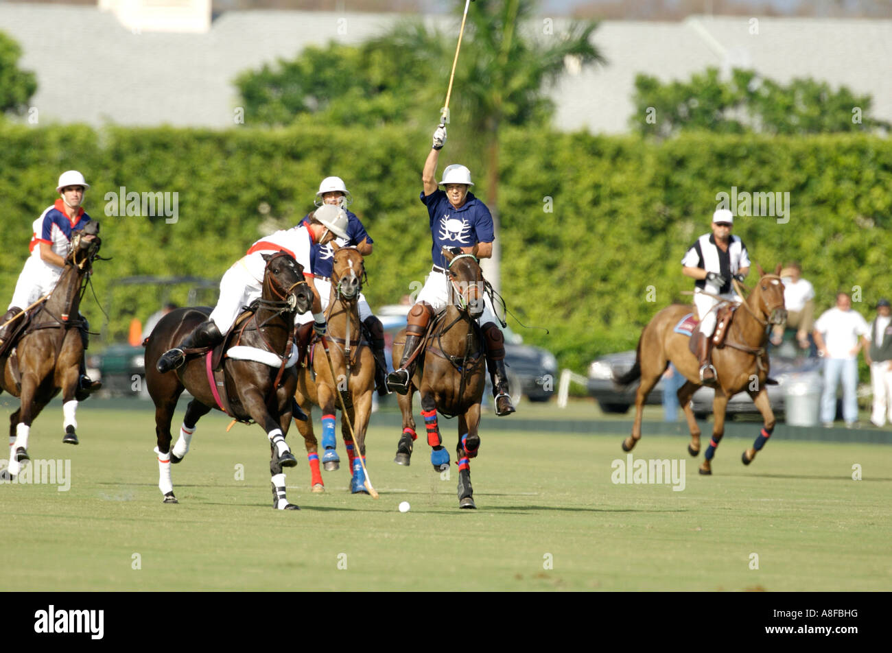 Joe Barry Memorial Cup International Polo Club Palm Beach Florida 18 ...
