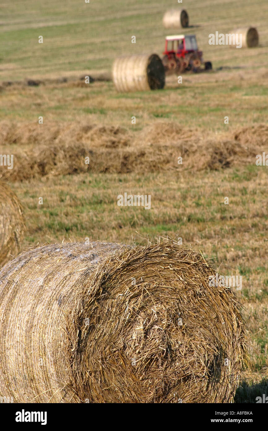 Gathering hay ireland hi-res stock photography and images - Alamy