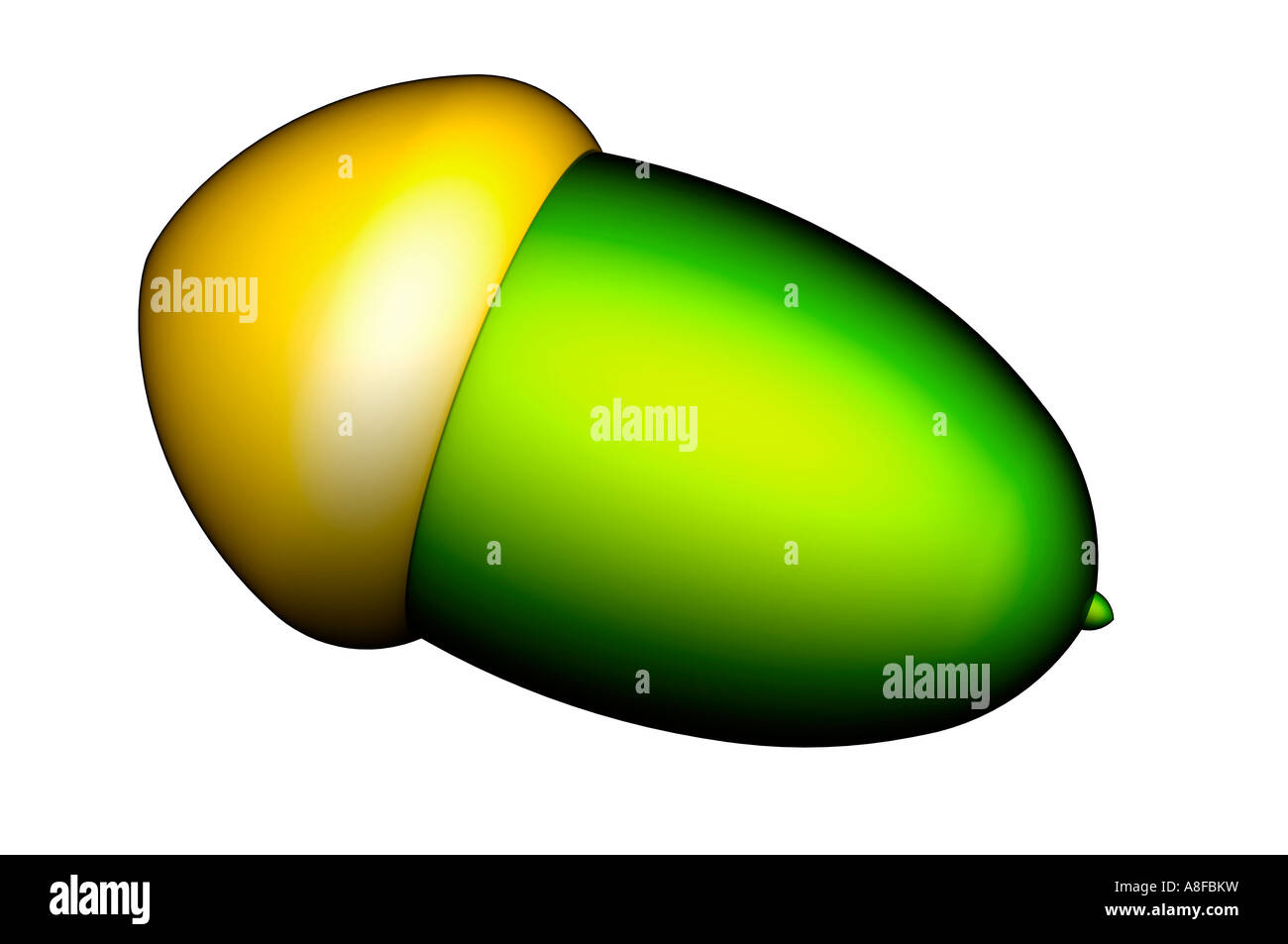 Shiny acorn Cut Out Stock Images & Pictures - Alamy