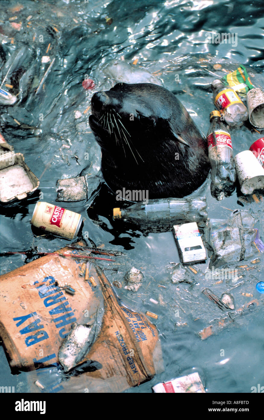 Contaminated water hi-res stock photography and images - Alamy