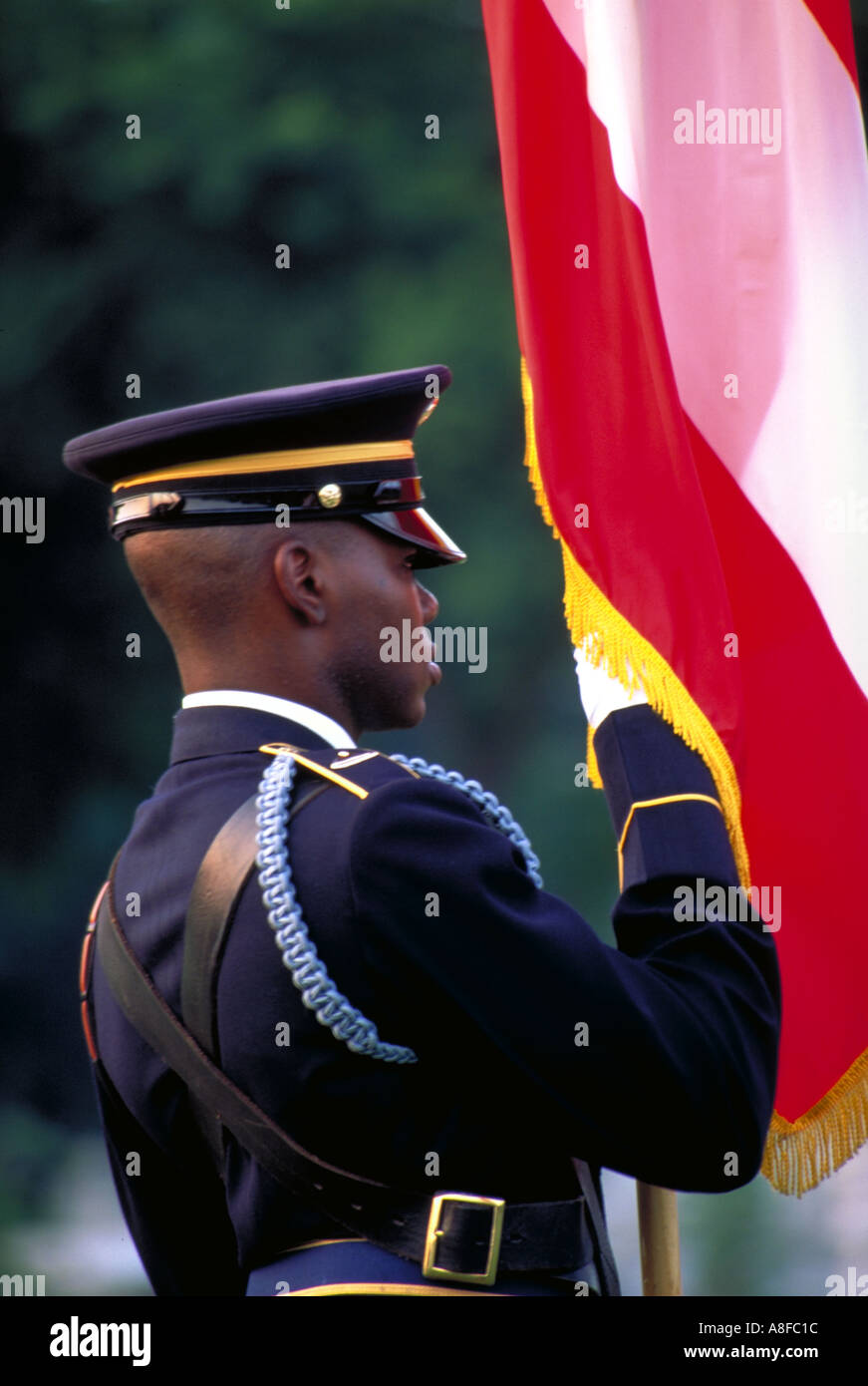 Washington dc military parade hi-res stock photography and images - Alamy