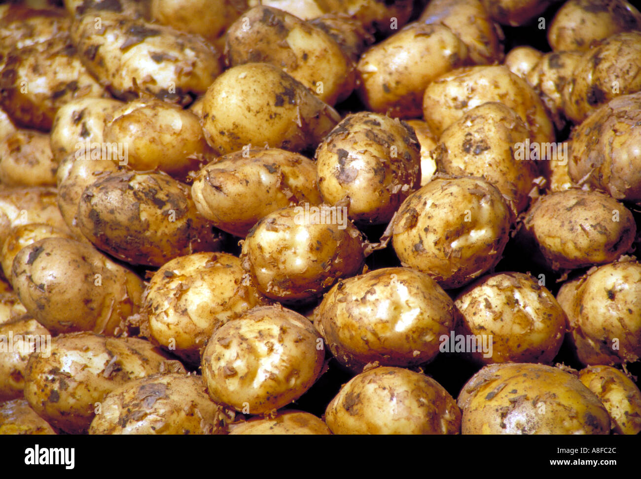Curved potato hi-res stock photography and images - Alamy