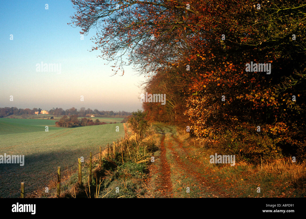 Ridgeway Path near Britwell Salome in the Chiltern Hills Stock Photo ...