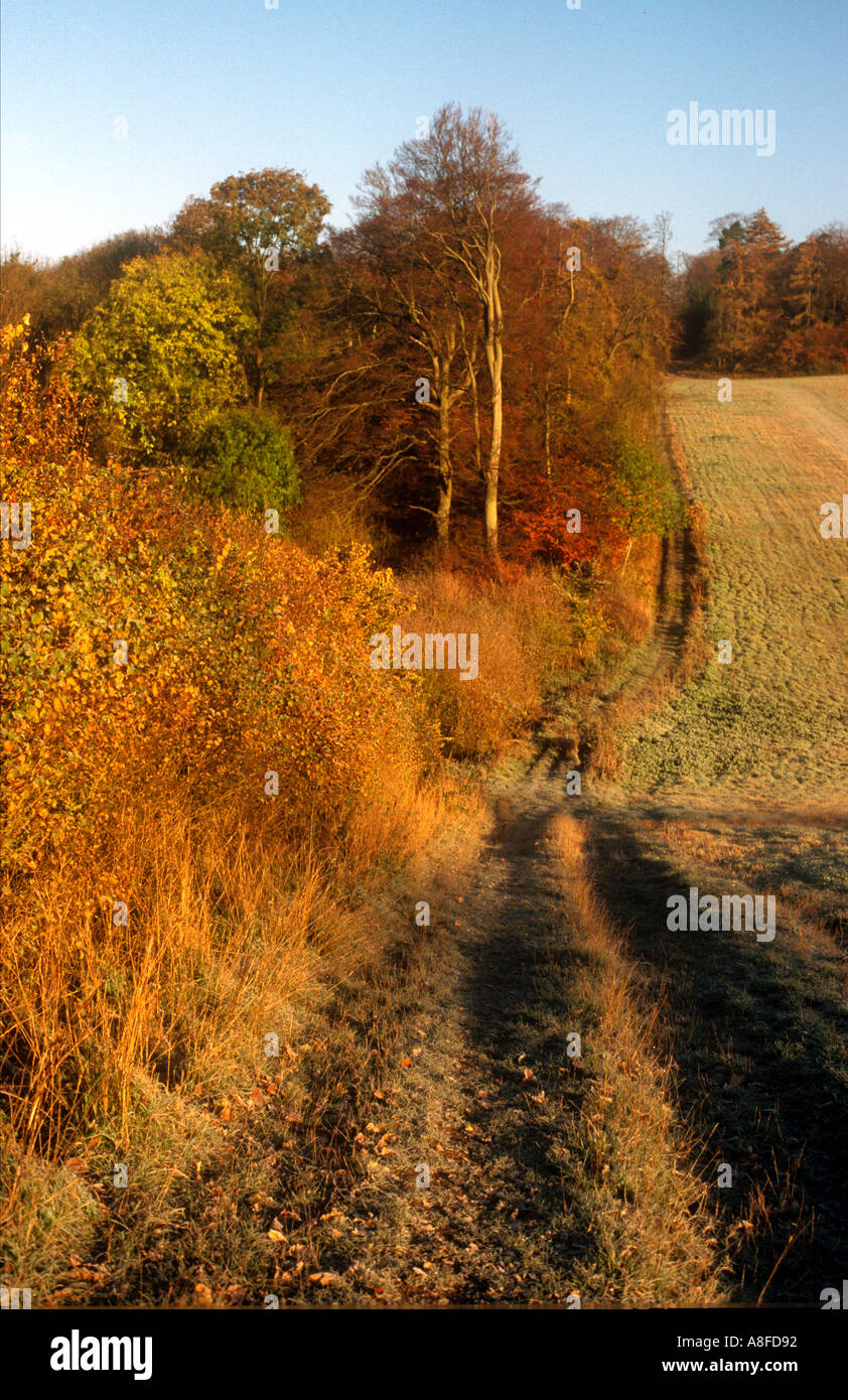 The ridgeway path chiltern hills hi-res stock photography and images ...