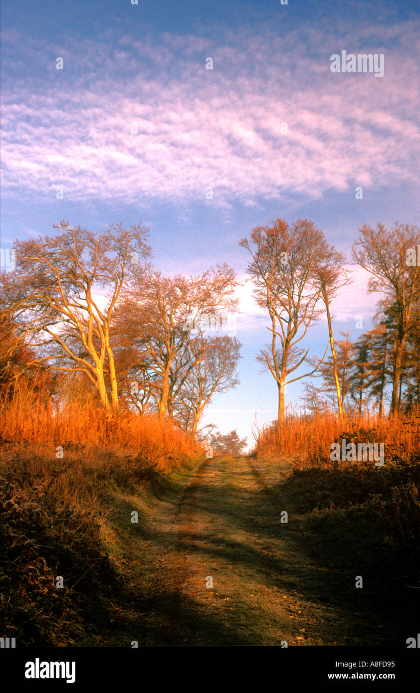 The ridgeway path chiltern hills hi-res stock photography and images ...