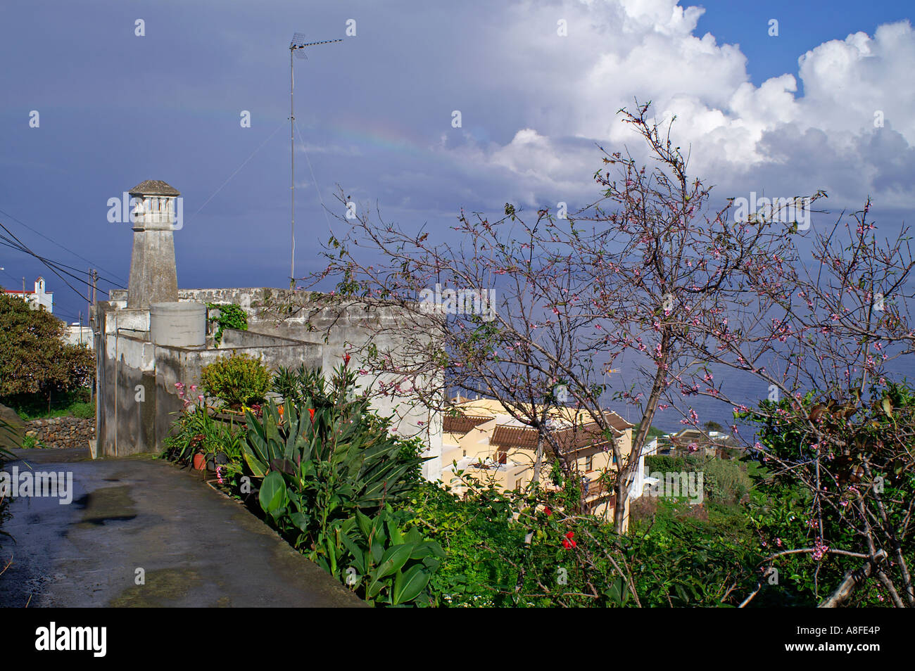 La Palma El Tablado Canaray Islands Stock Photo - Alamy