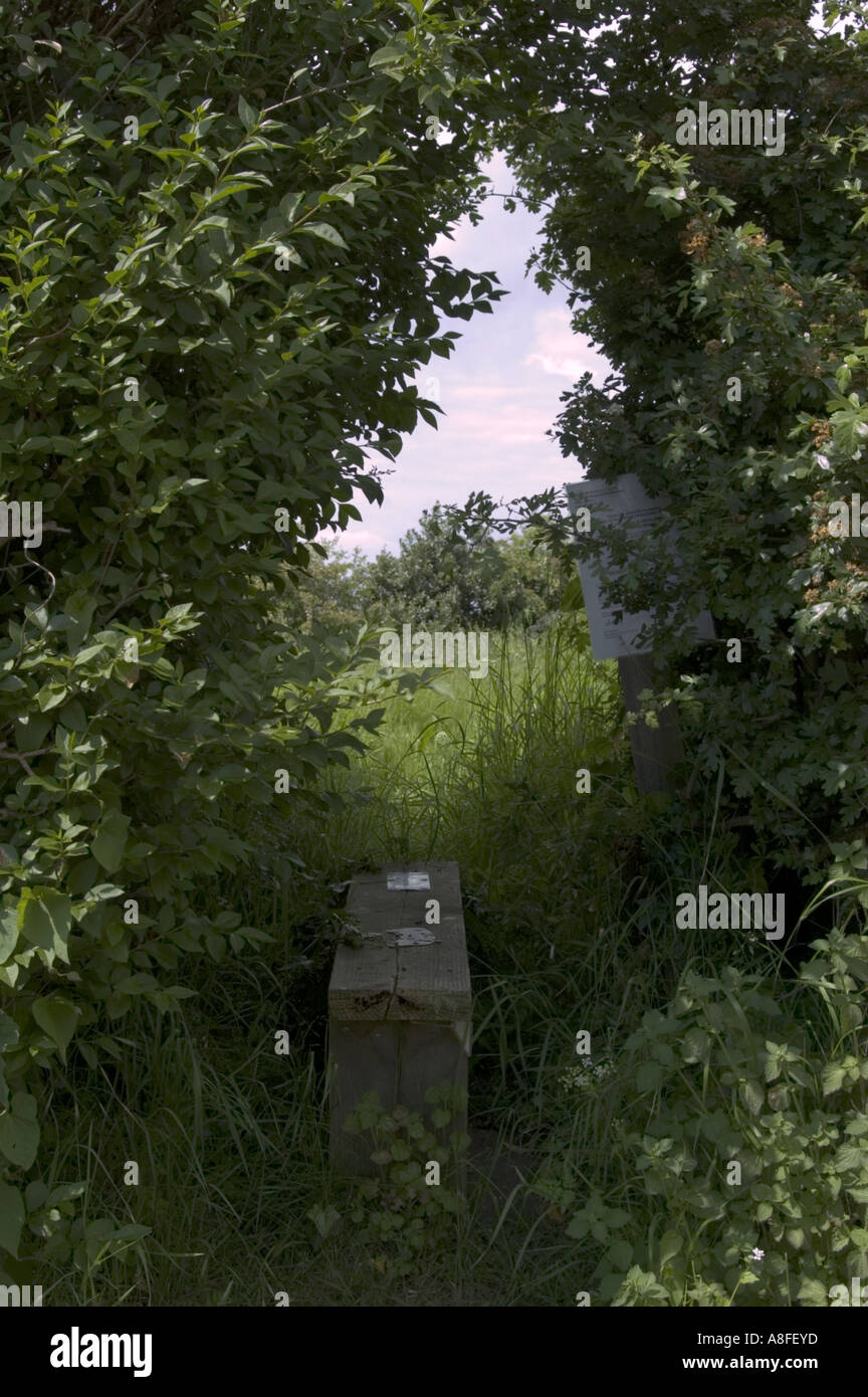 Through the hedge hi-res stock photography and images - Alamy