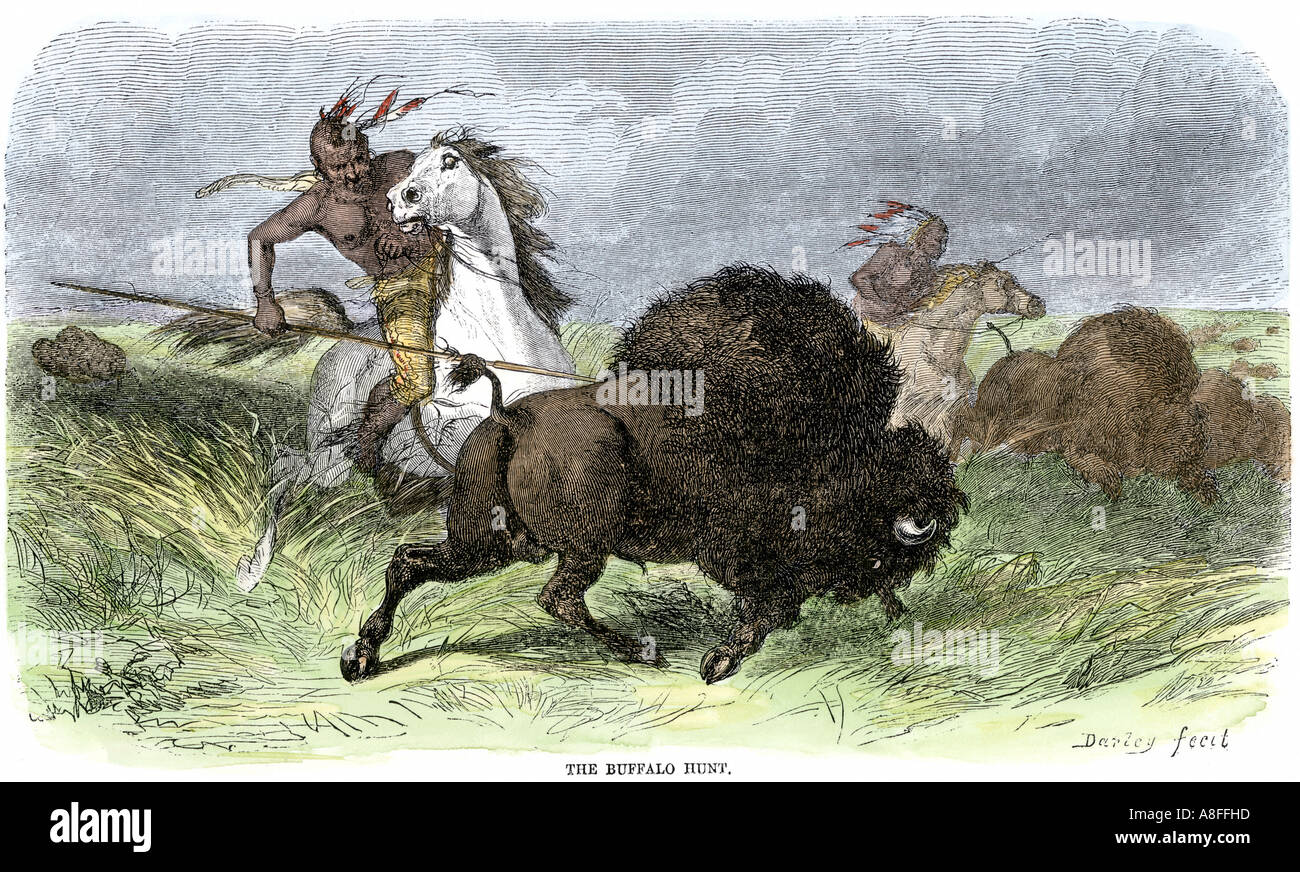 Native american hunting bison High Resolution Stock Photography and ...