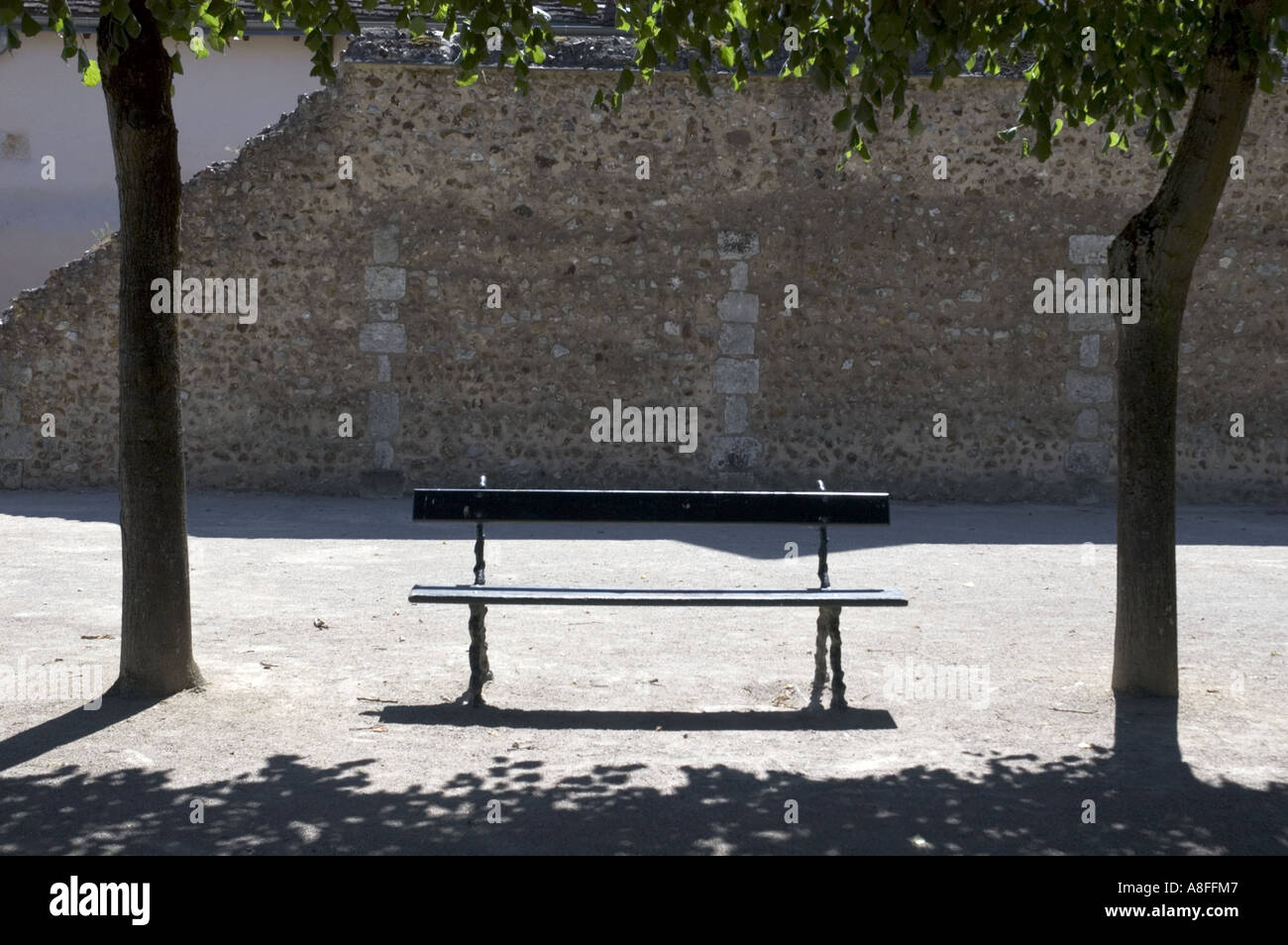 Solitary bench under trees hi-res stock photography and images - Alamy