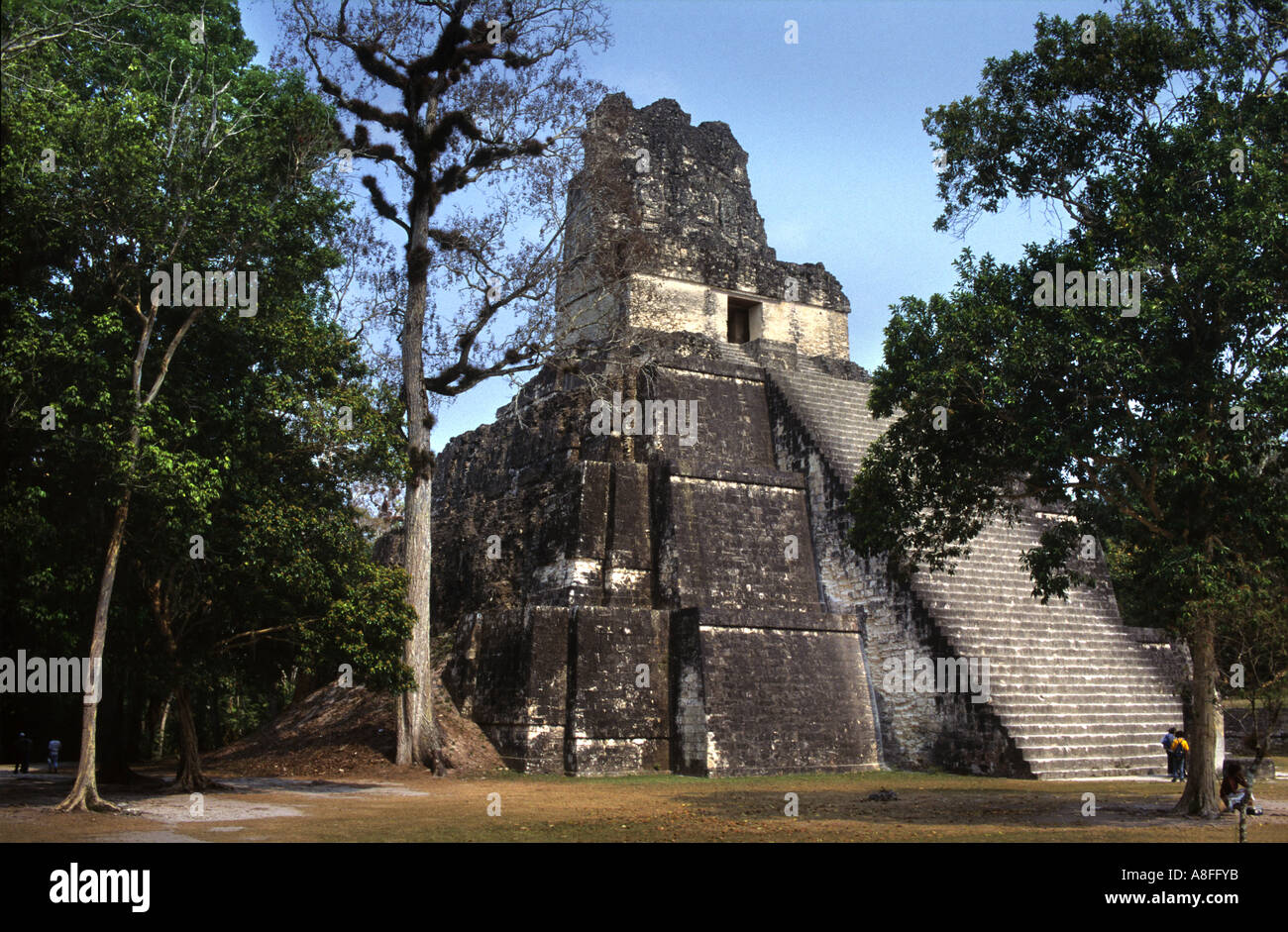 MAYAN TEMPLE OF THE MASKS IN THE JUNGLE AT TIKAL GUATEMALA Stock Photo ...
