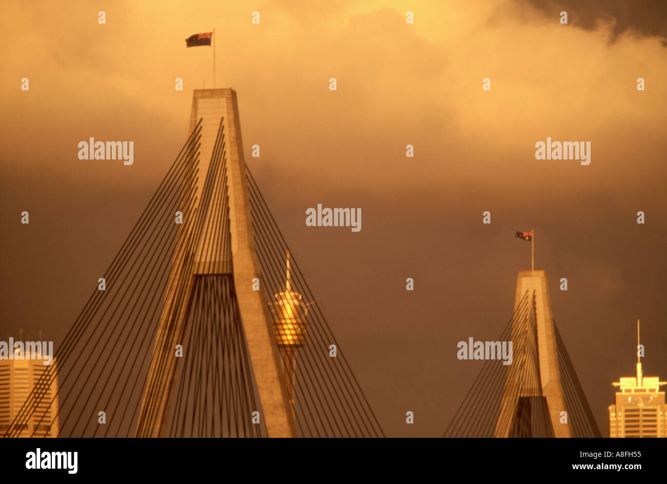 Anzac bridge sydney nsw hi-res stock photography and images - Alamy