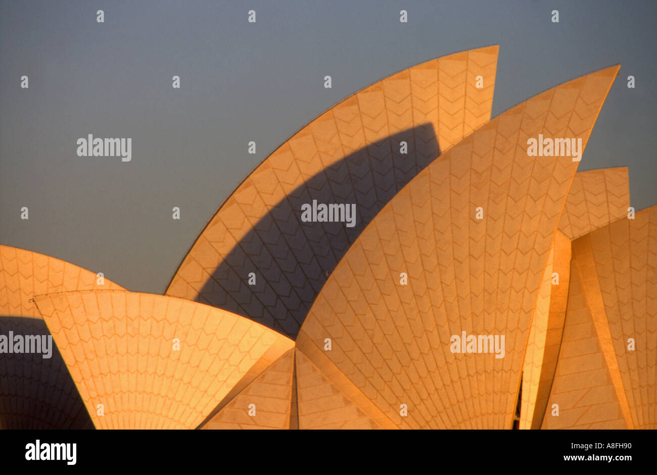 Sydney Opera House abstract detail at sunset Stock Photo - Alamy