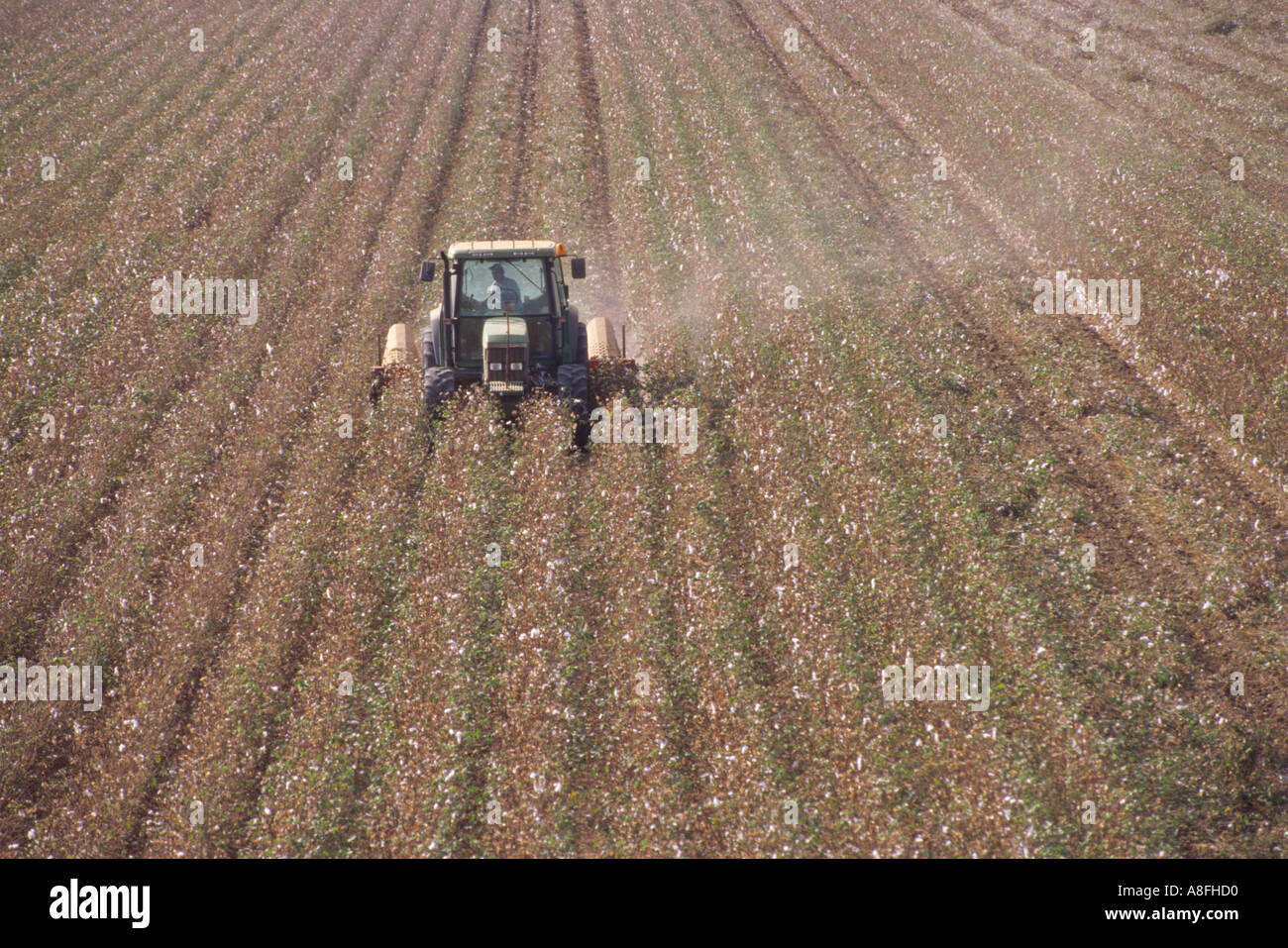 Cotton harvest tractor field hi-res stock photography and images - Alamy