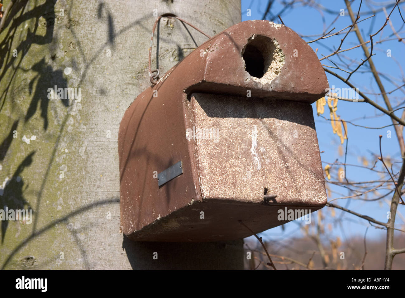 Concrete bird box hi-res stock photography and images - Alamy