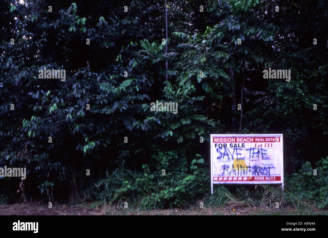 Save the Rainforest written over Real Estate sign in front of ...