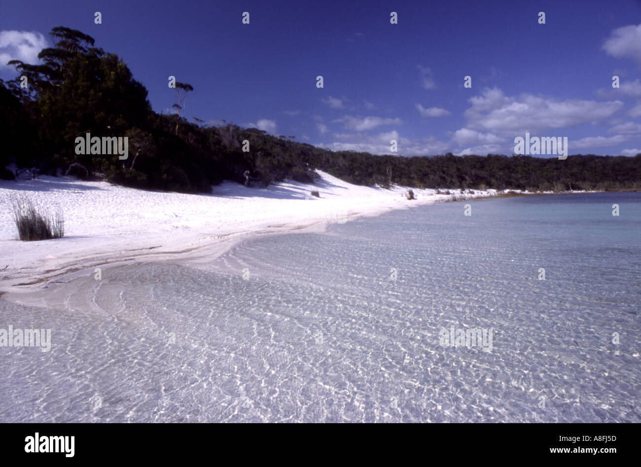 The crystal clear waters of the perched Lake MacKenzie Fraser Island ...