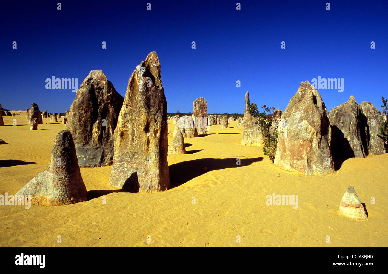 Pinnacles Nambung Park W A Western Australia Stock Photo - Alamy