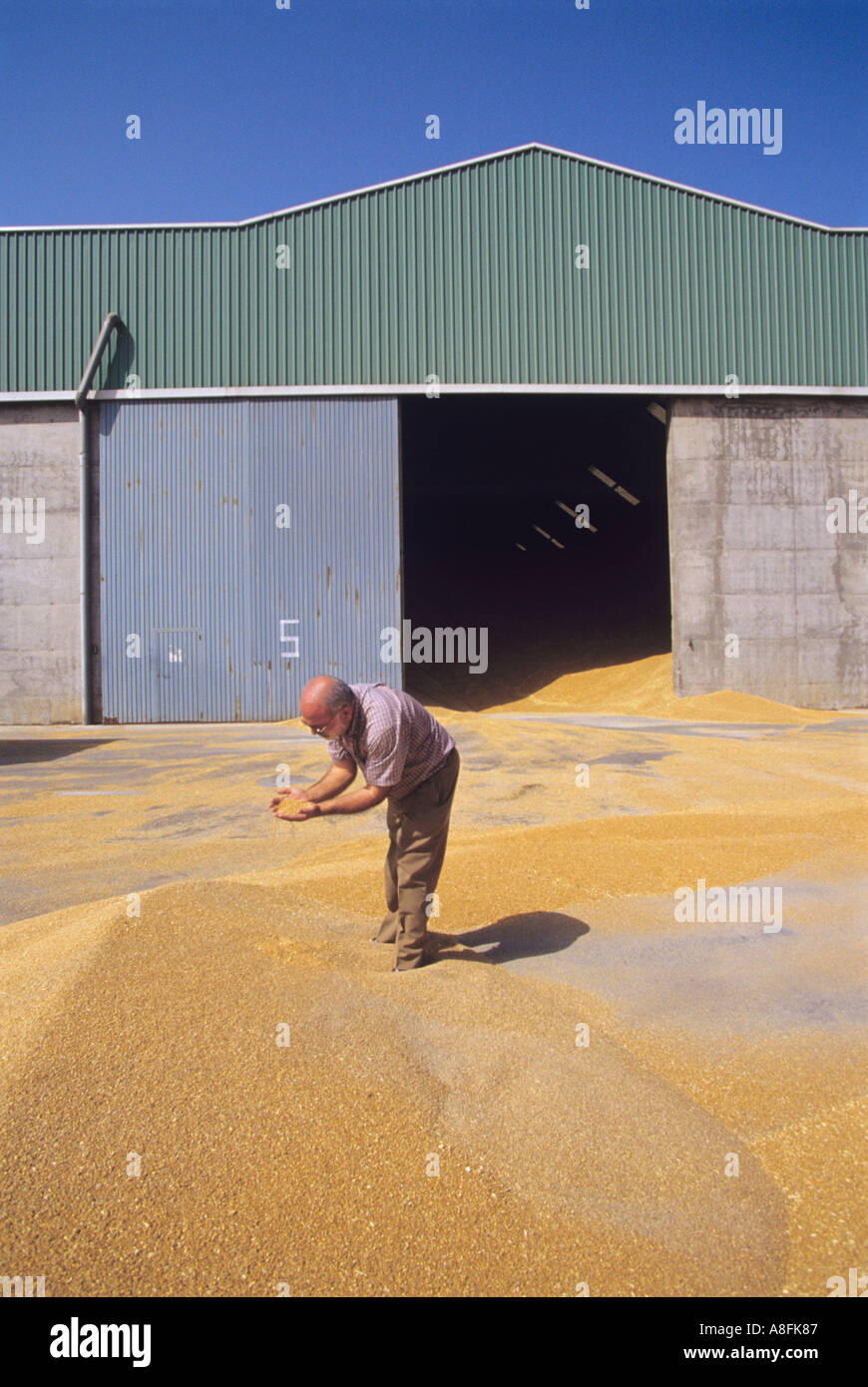 Farmer in grain storage Stock Photo - Alamy