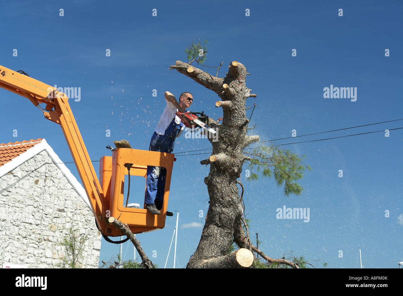 Worker hold sawing machine cut tree Stock Photo - Alamy