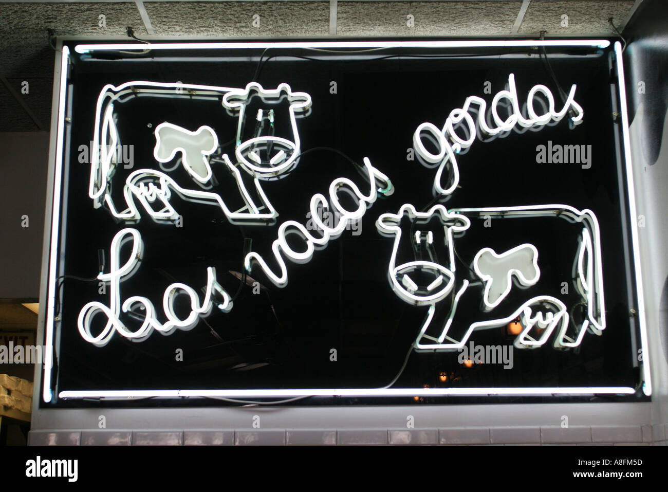 Miami Beach Florida,Normandy Isle,Los vacas gordos,The fat cows ...