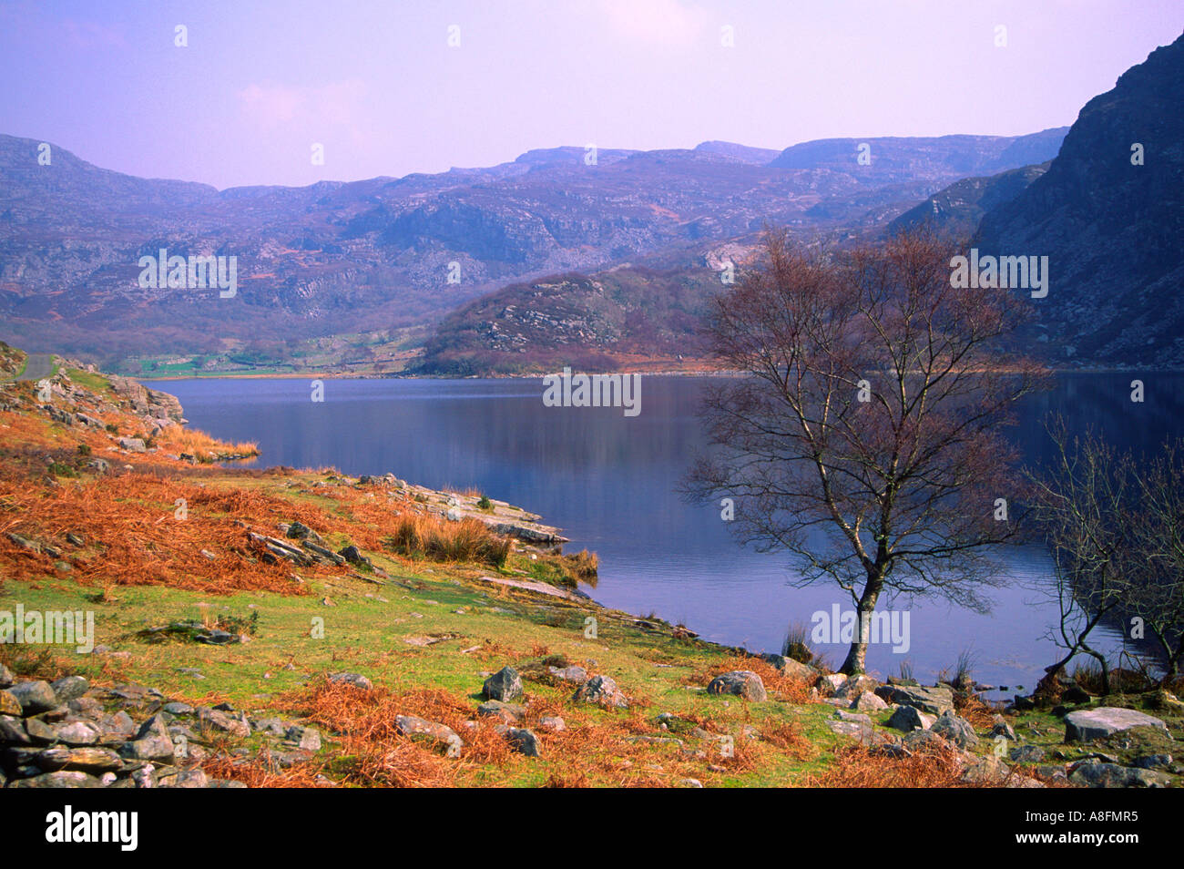 Cwm bychan hi-res stock photography and images - Alamy
