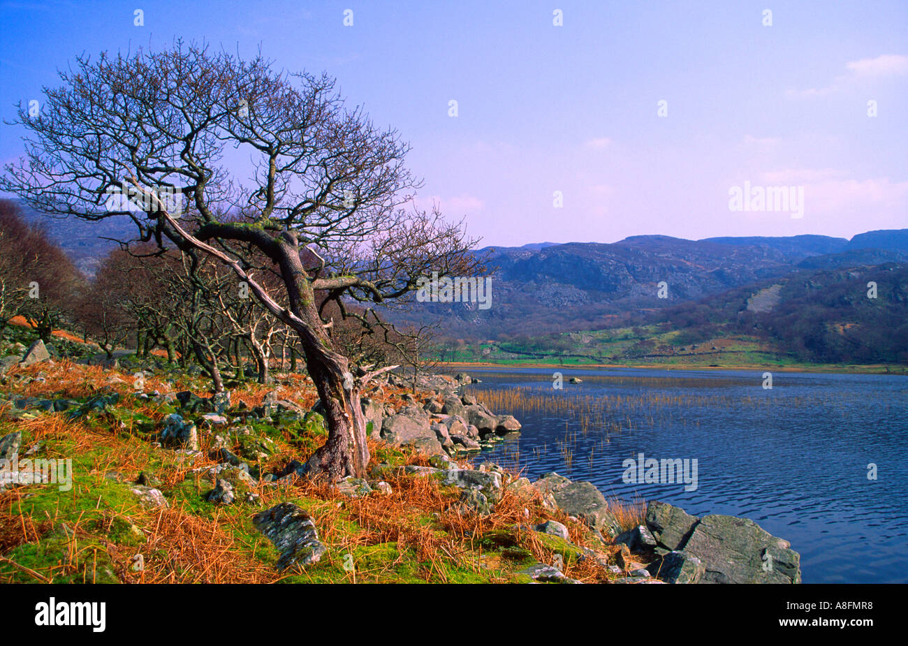 Cwm bychan hi-res stock photography and images - Alamy