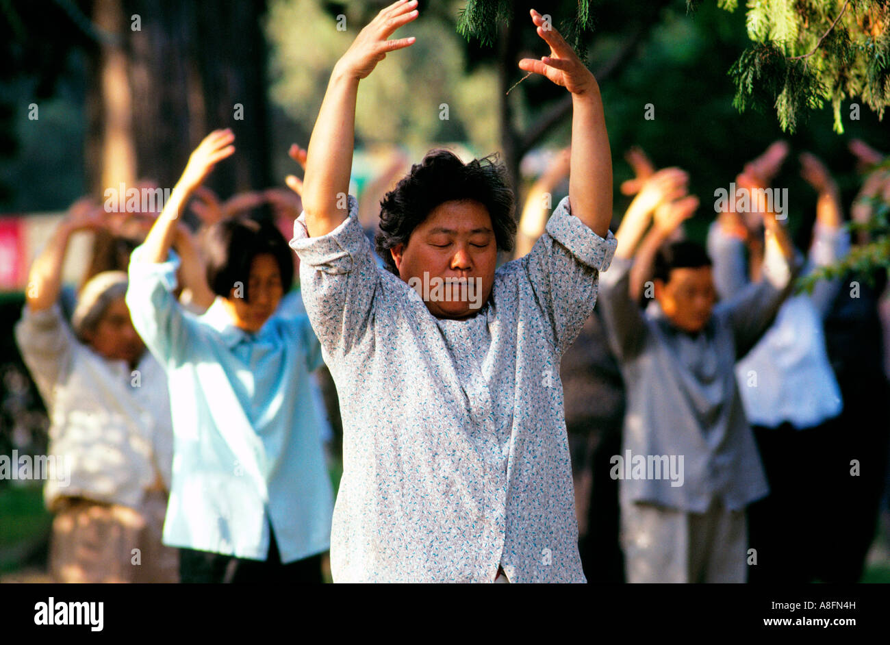 Chinese exercise Taichi Gigong in Peking China Stock Photo - Alamy