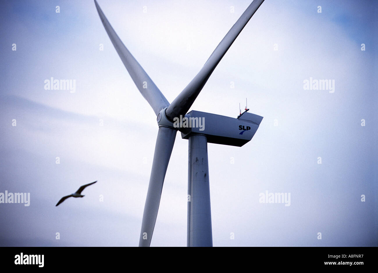 Wind turbine, Ness Point, Lowestoft Suffolk, Britain's most eastery ...