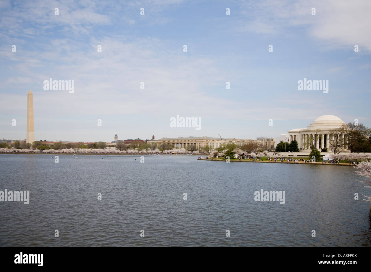 Tidal basin culture hi-res stock photography and images - Alamy
