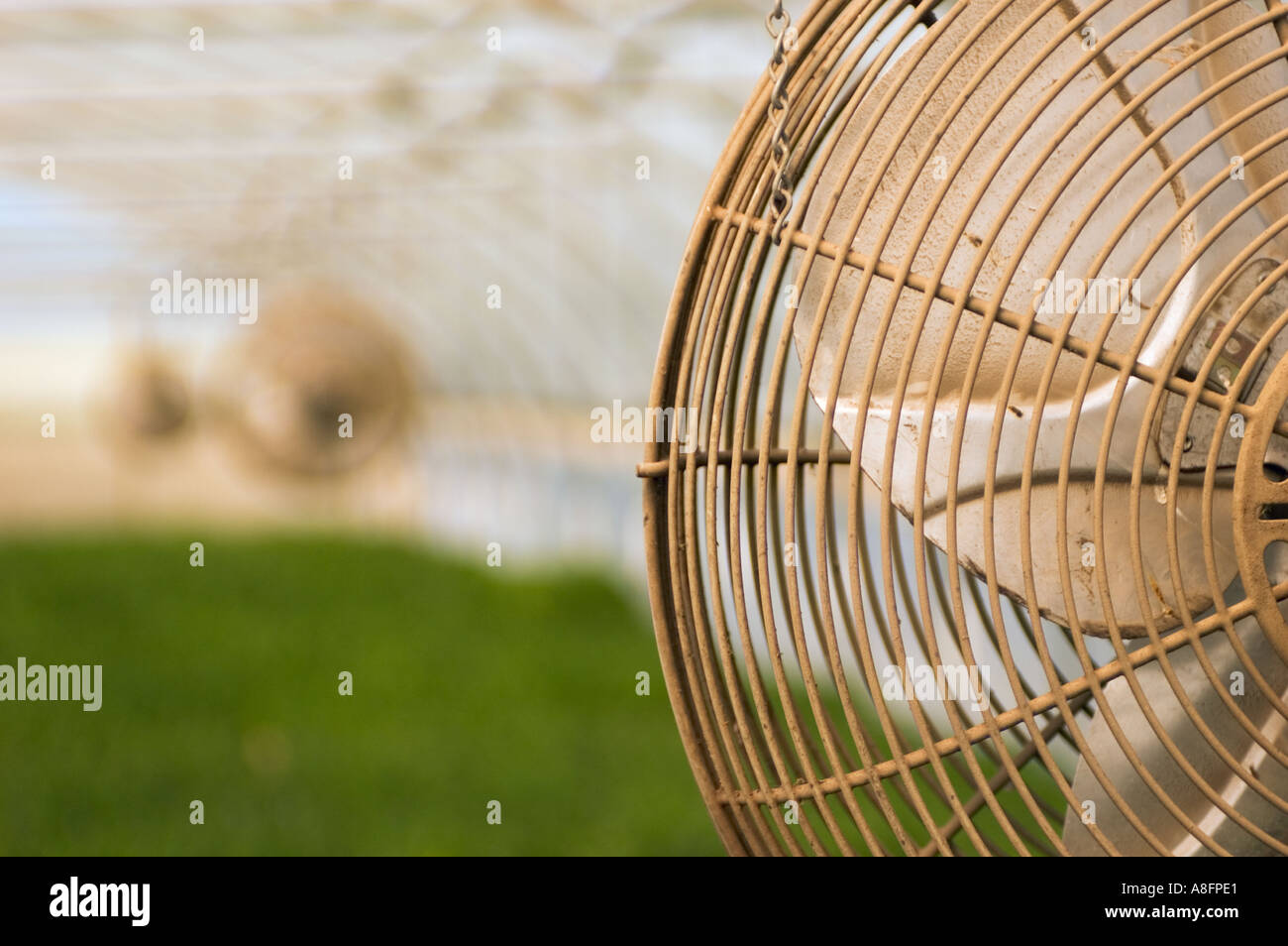 Gardening fans hi-res stock photography and images - Alamy