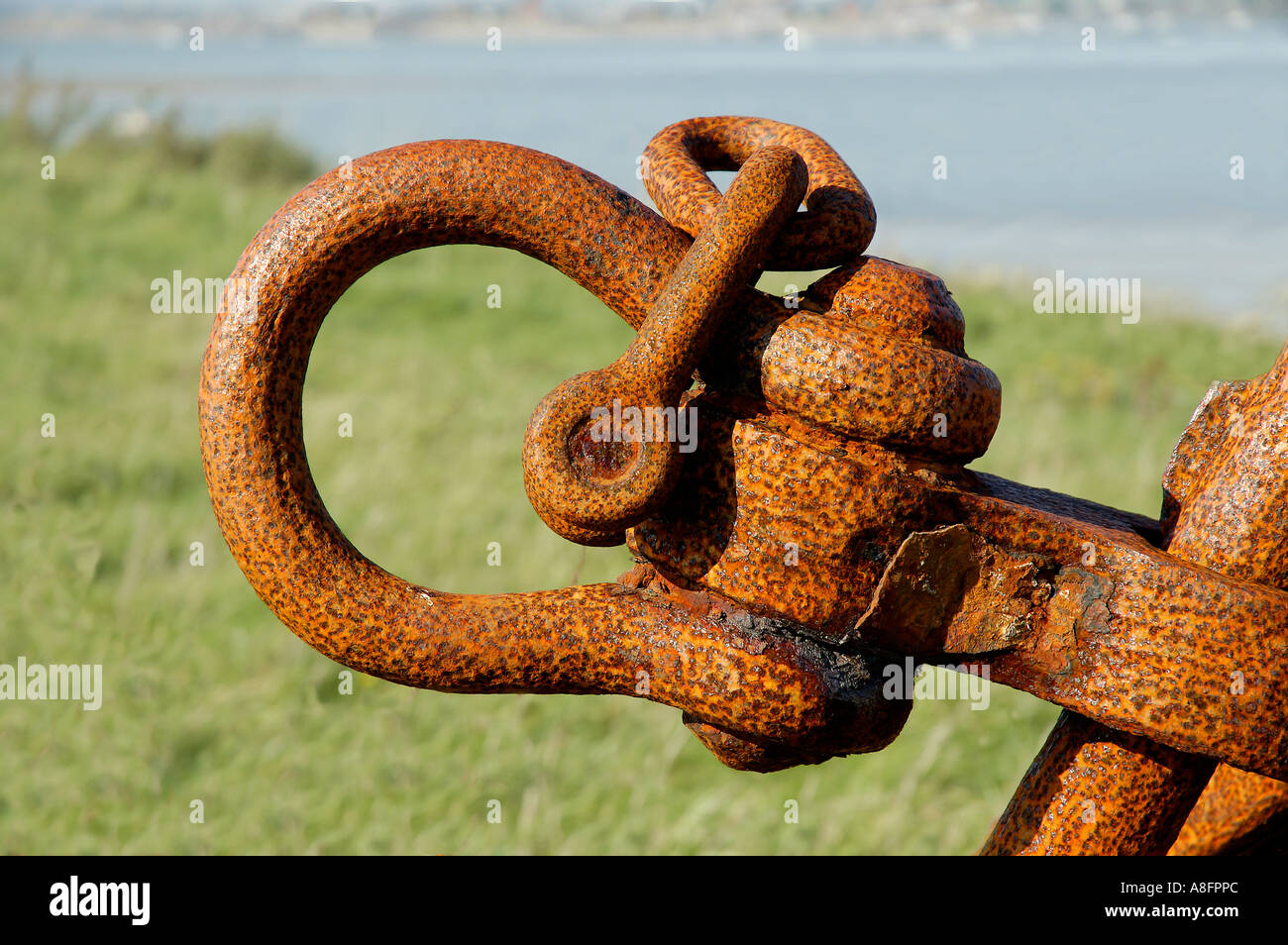 Rusting shackles on old anchor on Piel Island, near Barrow in Furness ...