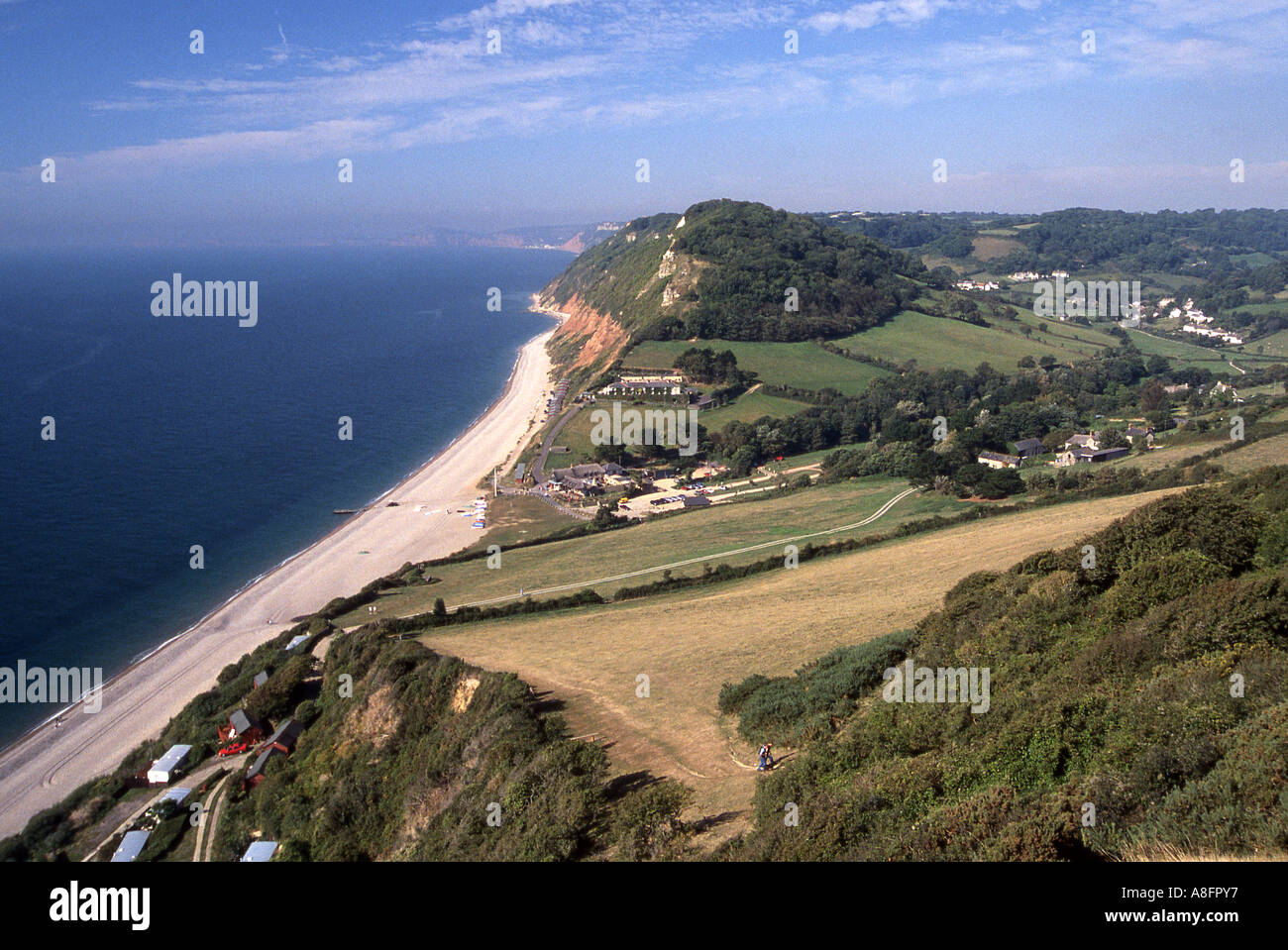 The south Devon coast near Branscombe Stock Photo - Alamy