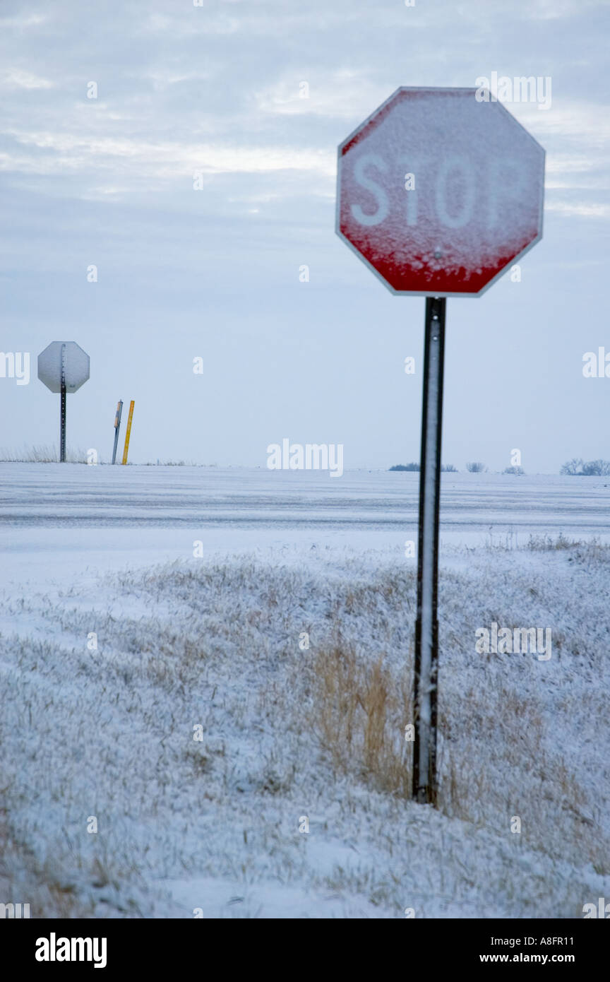 Snow covered stop sign Stock Photo - Alamy