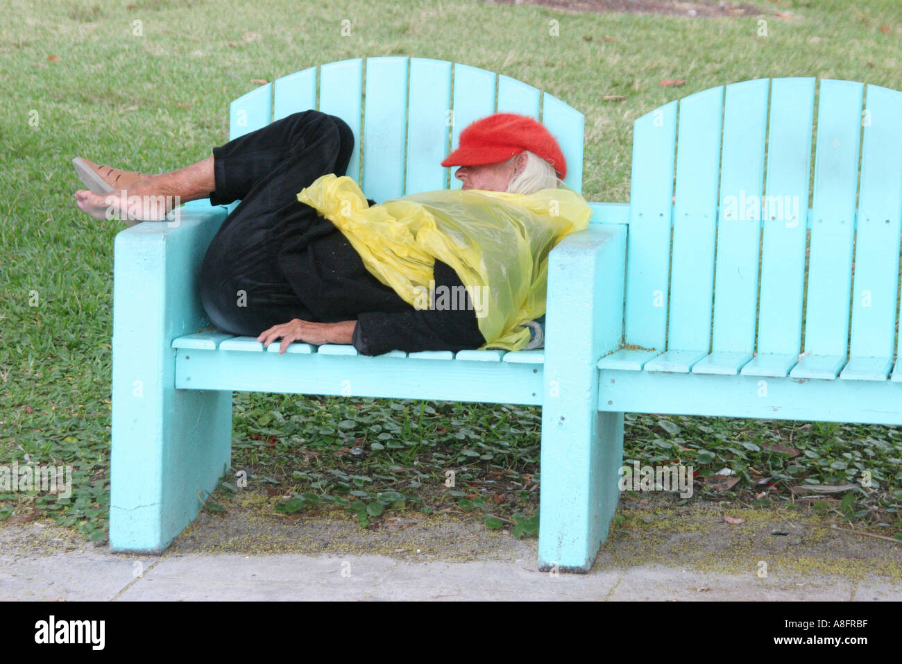 Miami Beach Florida,Ocean Drive,Lummus Park,bench,senior seniors old ...