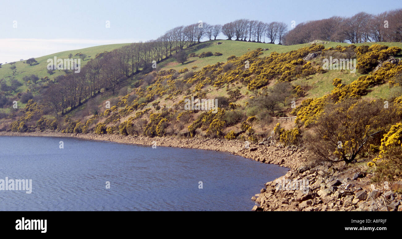 Meldon Reservoir on the edge of Dartmoor Stock Photo - Alamy